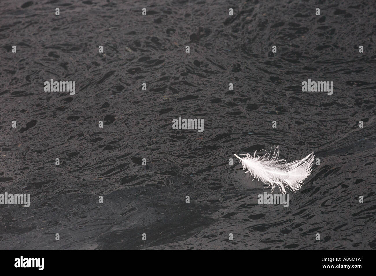 Oil floating hi-res stock photography and images - Alamy