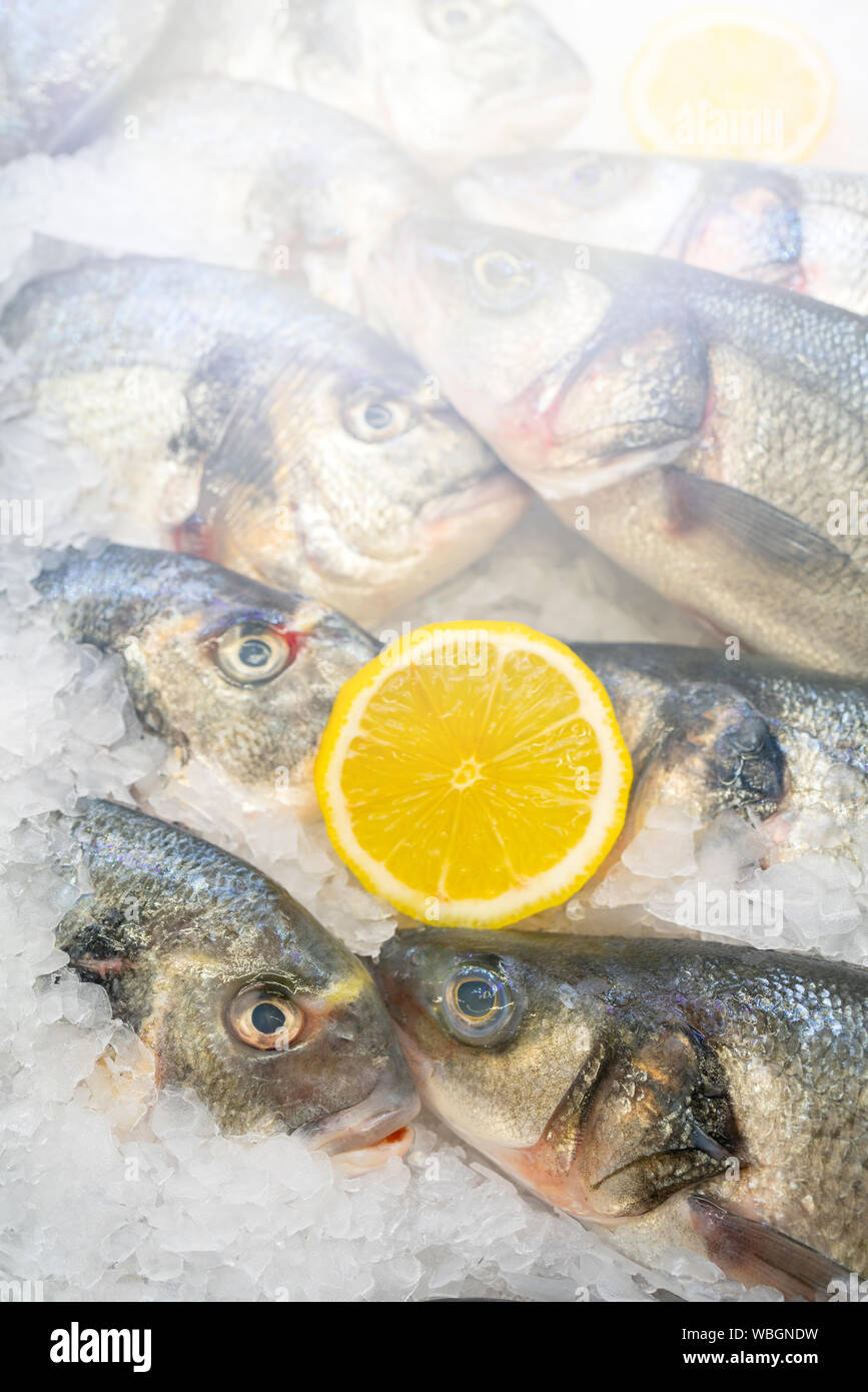 Frozen fish and yellow lemon on ice Stock Photo - Alamy