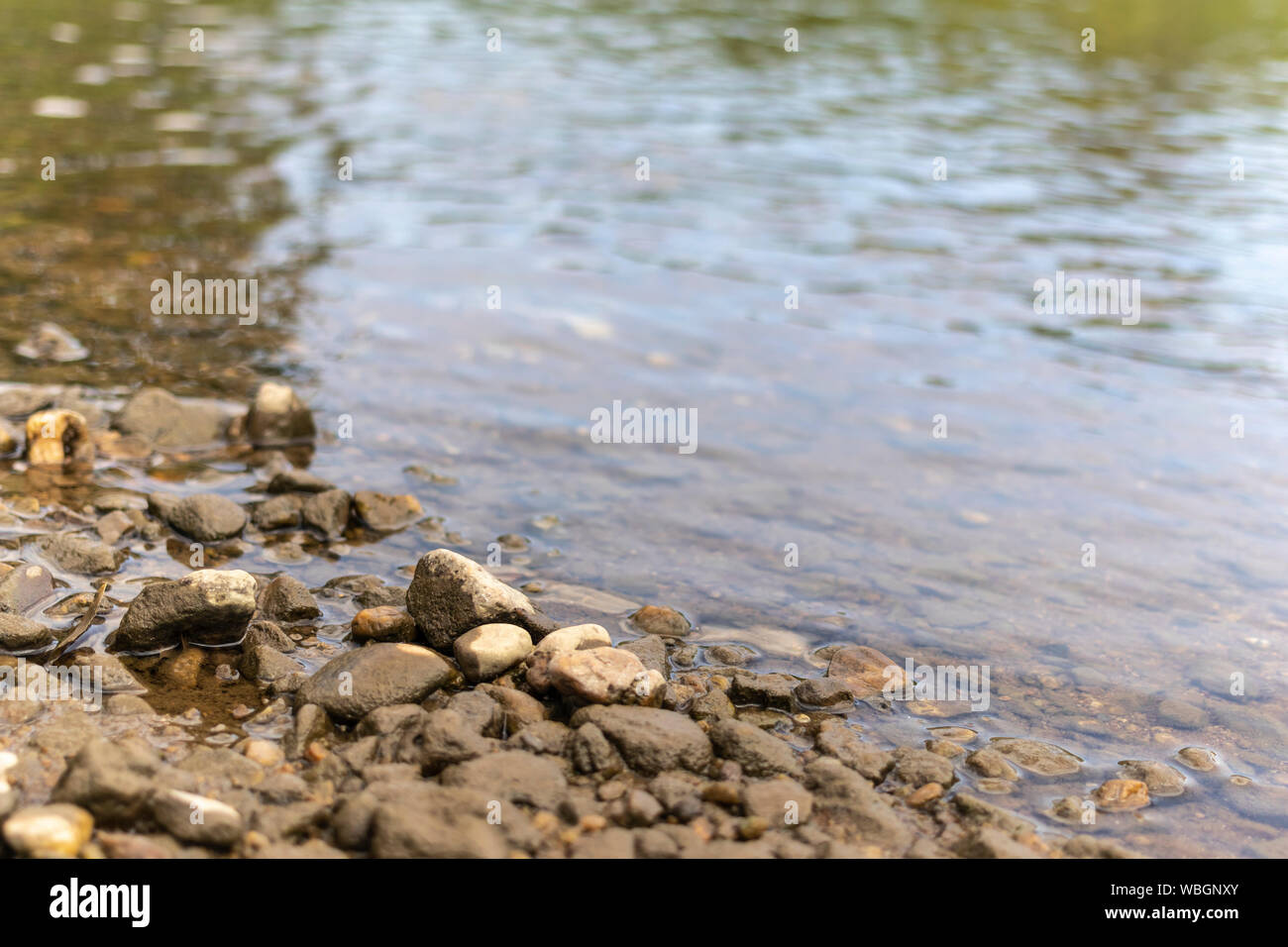 River rock rocks texture stream water background clear beautiful hi-res ...