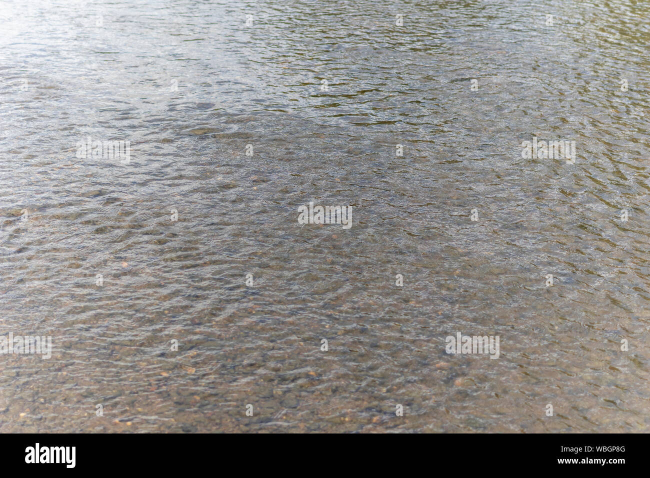 Rocks beneath serene river water. Beautiful ripples on river flow over ...
