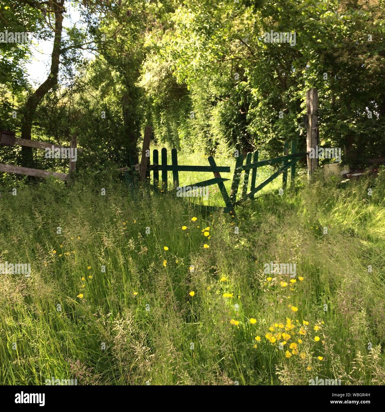 Broken gate hi-res stock photography and images - Alamy