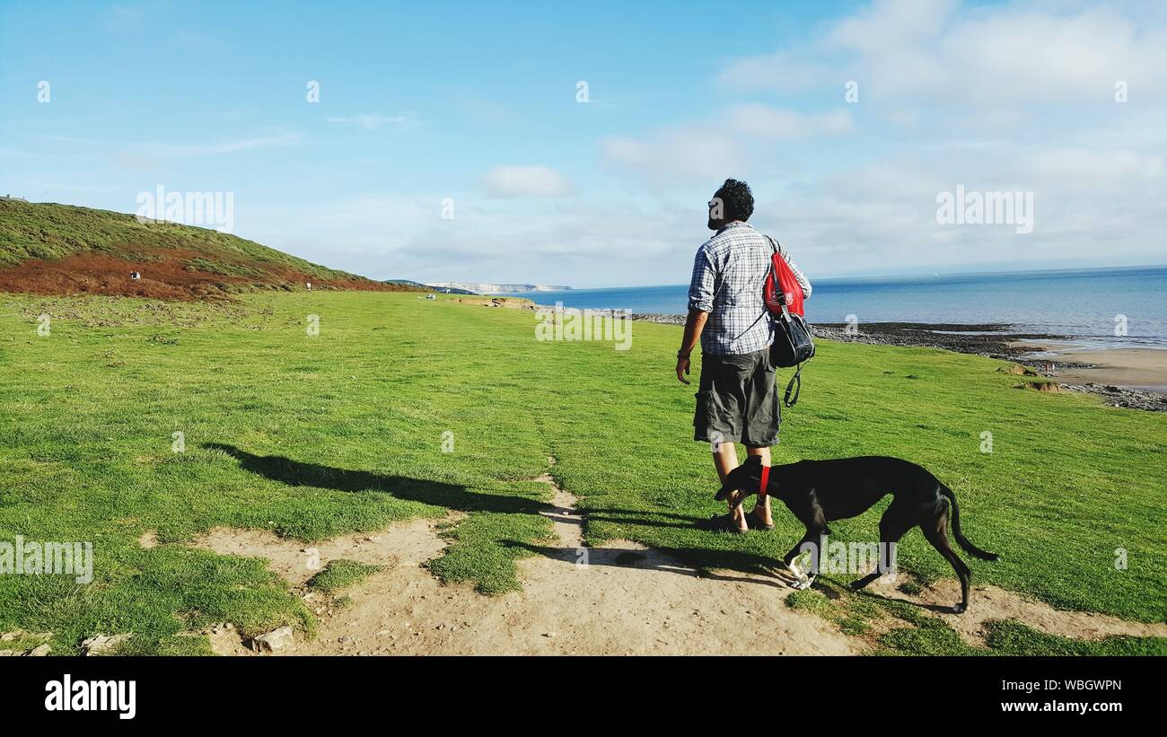 Adult mature man walking dog hi-res stock photography and images - Alamy