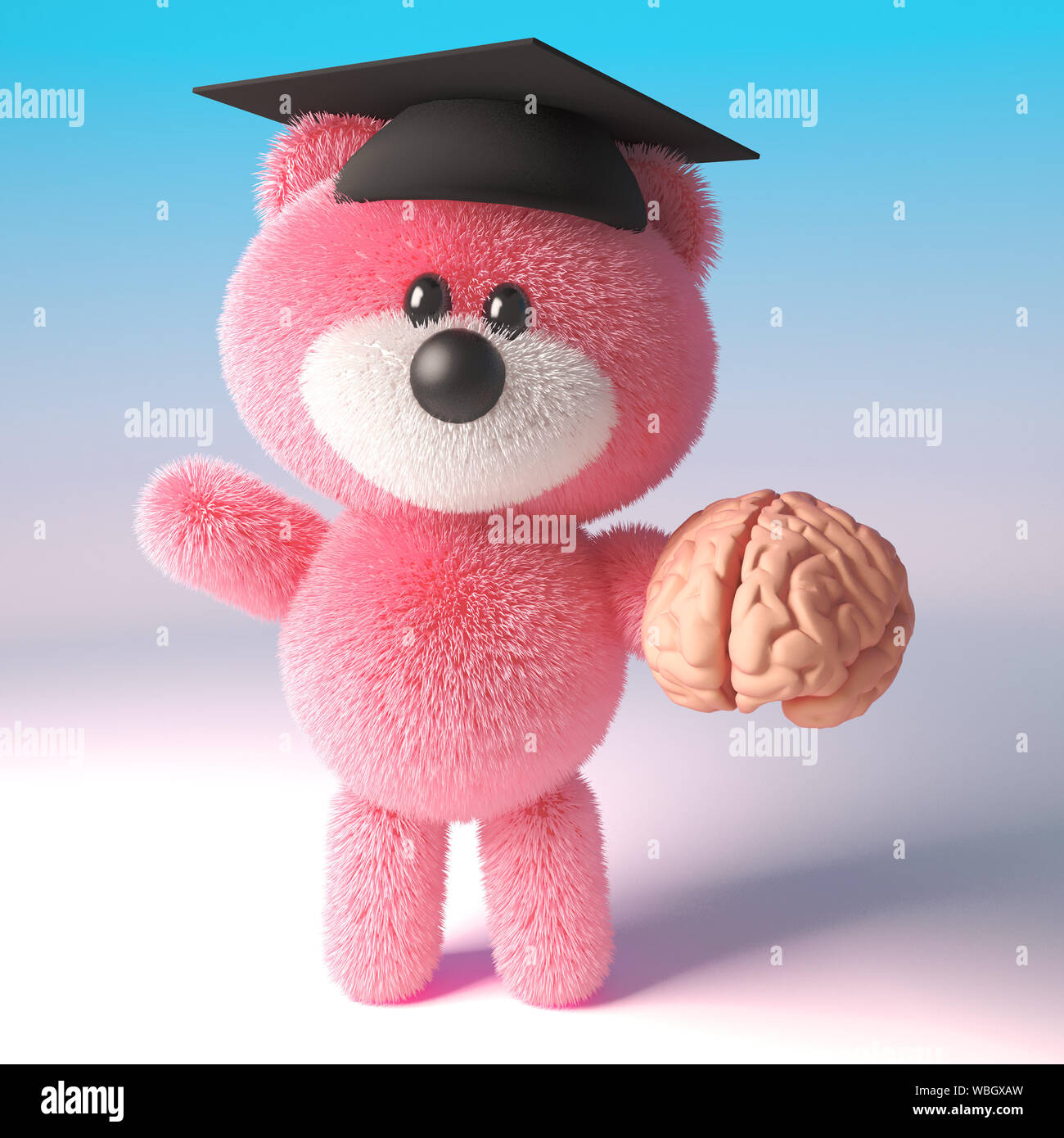 3d teddy bear with pink fluffy fur wearing a mortar board and holding a ...