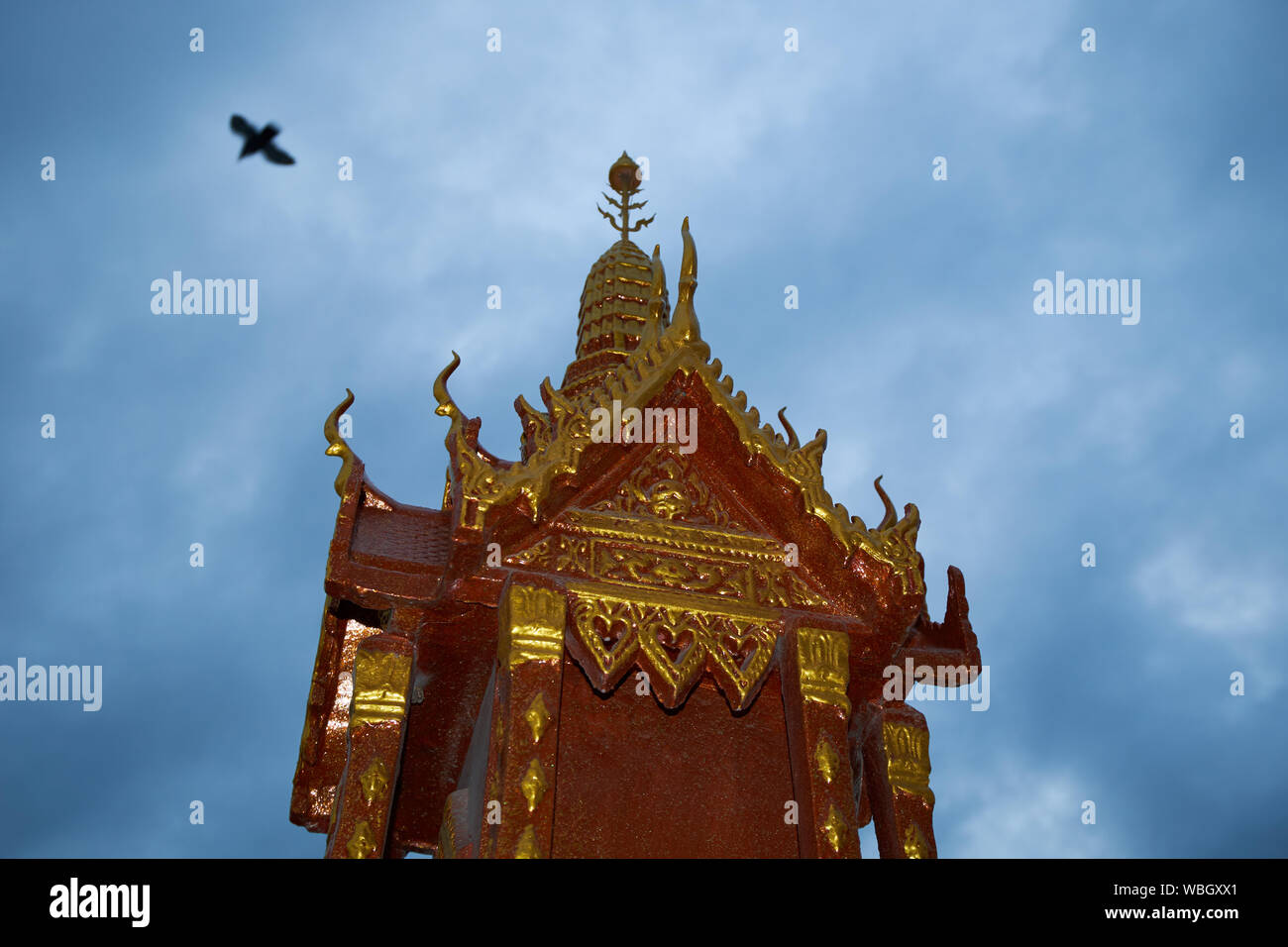 Gold angle wings hi-res stock photography and images - Alamy
