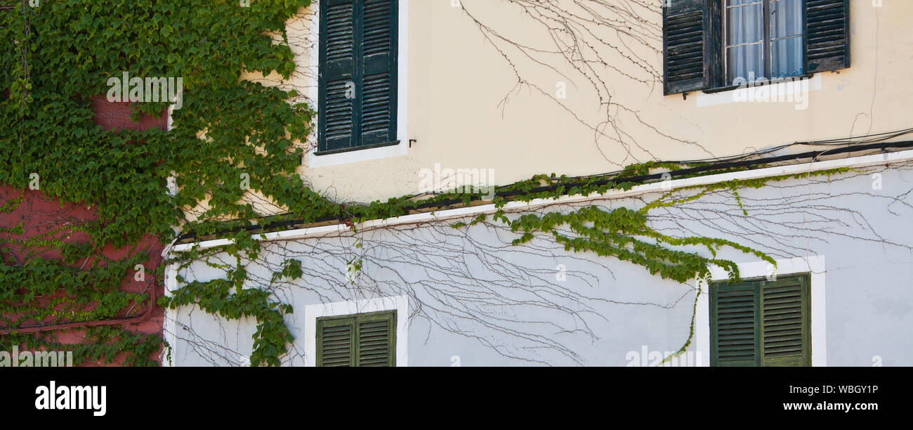 Creepers on house hi-res stock photography and images - Alamy