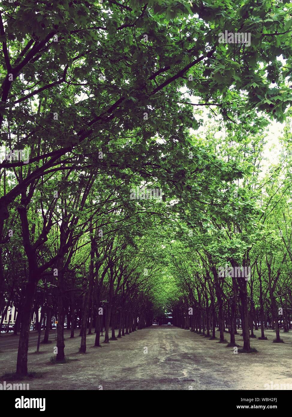 Canopy park hi-res stock photography and images - Alamy