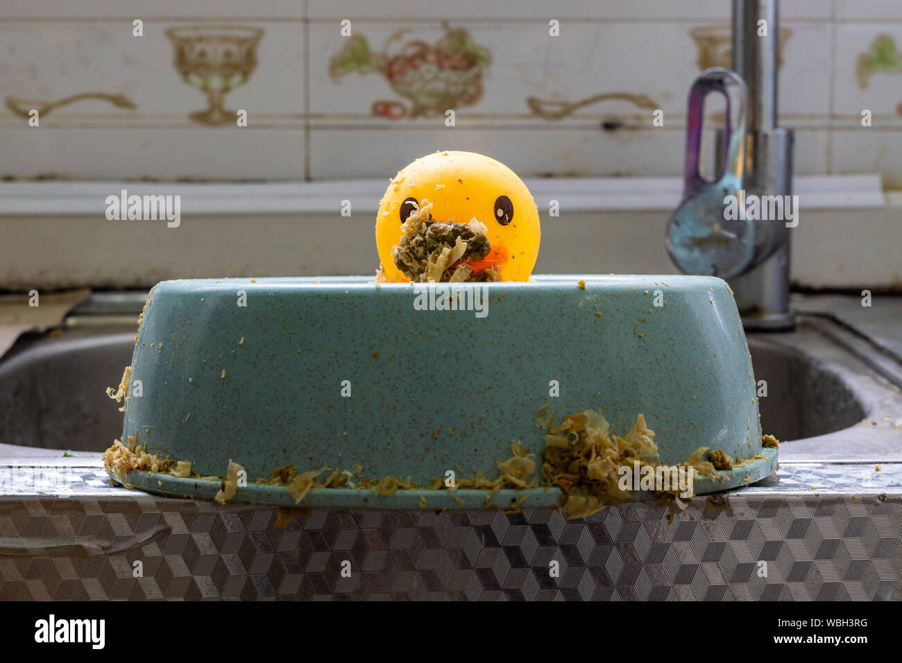 Poop on face Stock Photo - Alamy