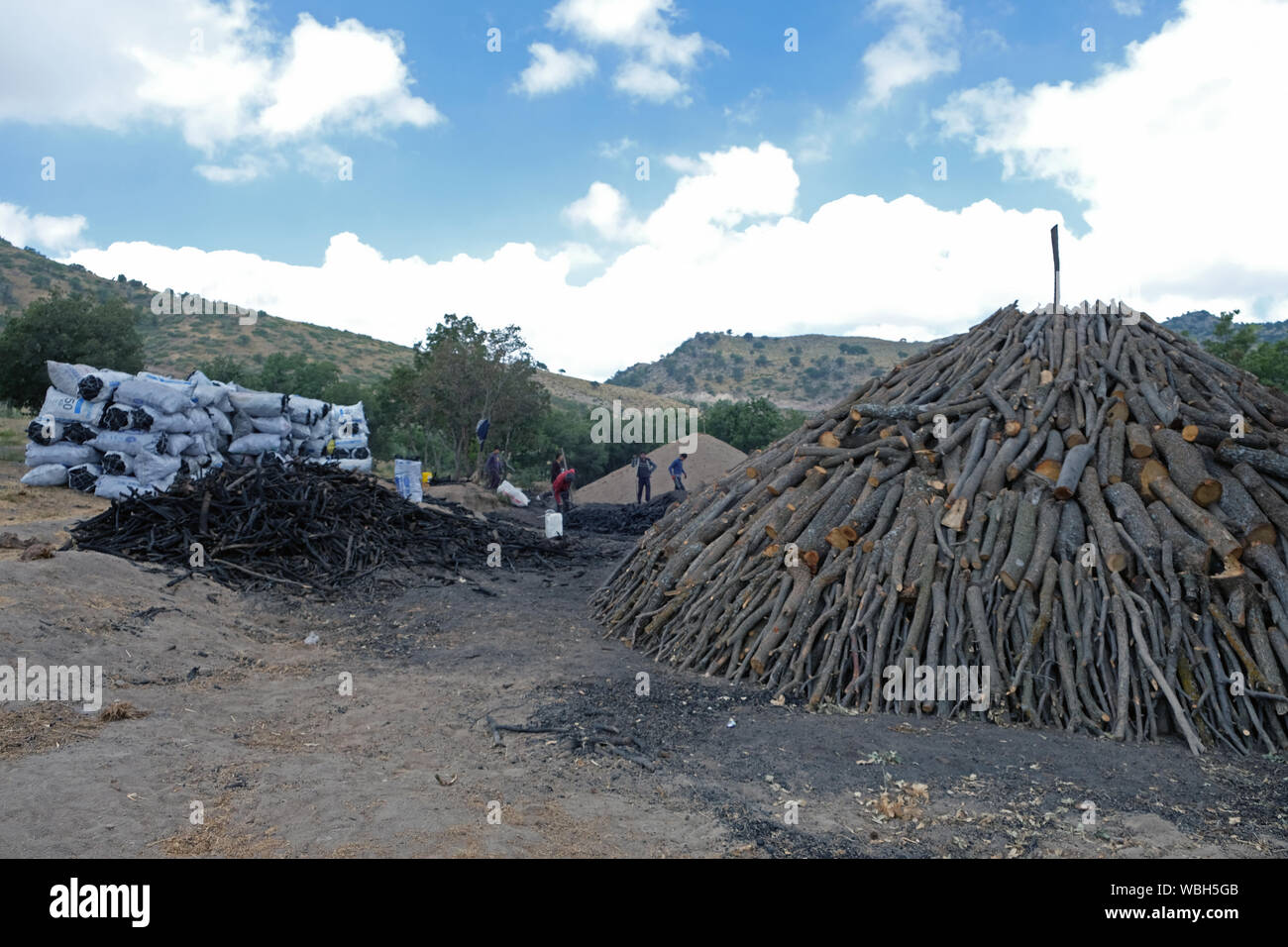 wood coal yield Stock Photo - Alamy