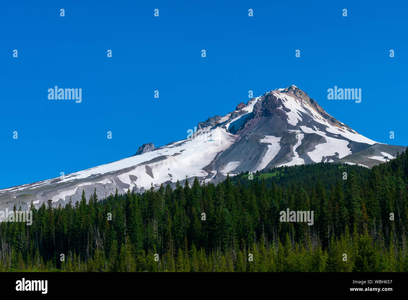 Majestic Mount Hood Standing Tall, Oregon Stock Photo - Alamy