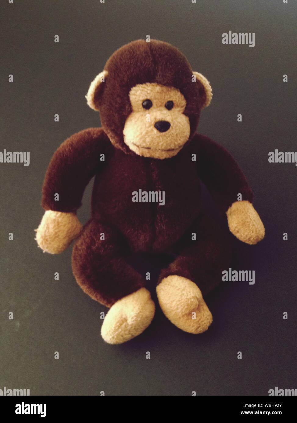 Monkey on high ground hi-res stock photography and images - Alamy