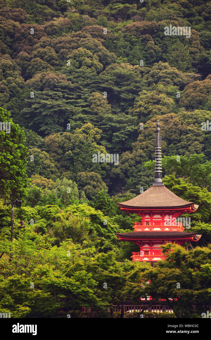 Temple with trees hi-res stock photography and images - Alamy