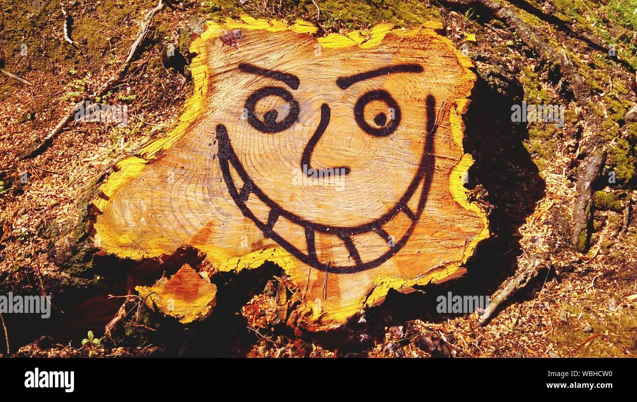 Stump face hi-res stock photography and images - Alamy
