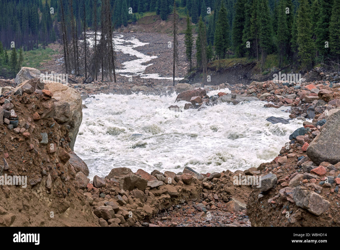 Riverbed after mudflow in the mountains; natural disasters concept ...
