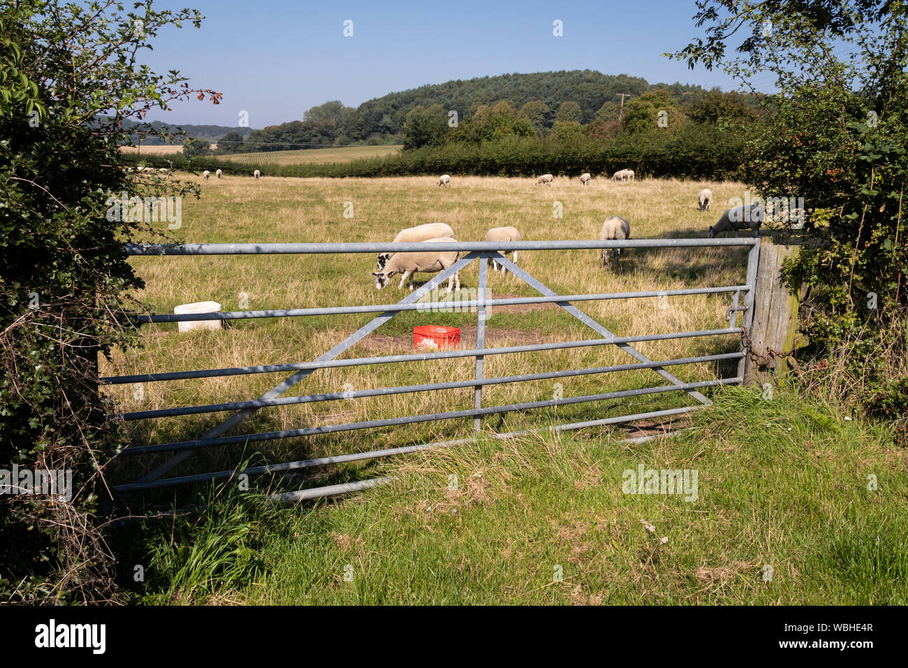 Padlocked Gates High Resolution Stock Photography and Images - Alamy