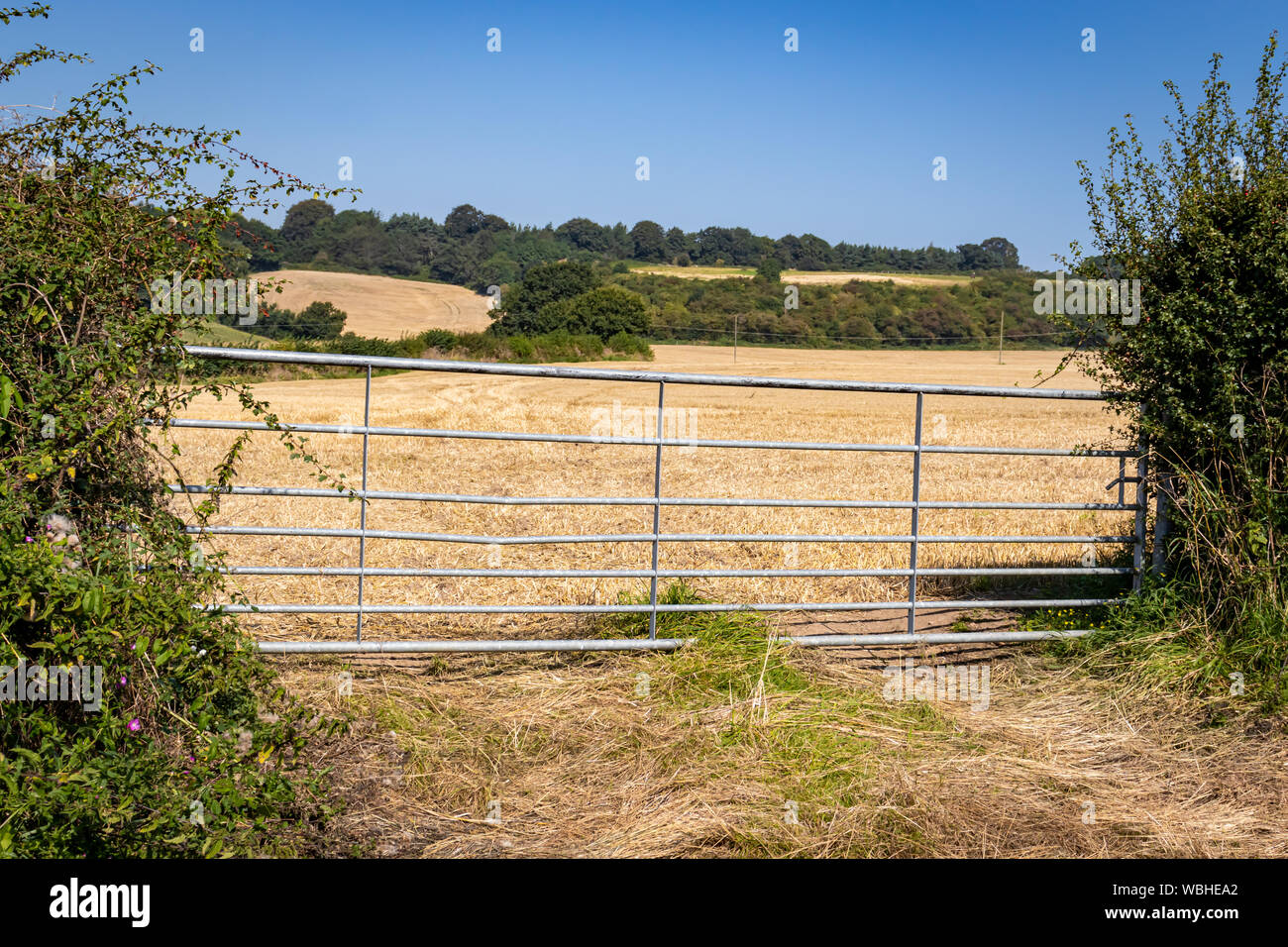 Padlocked Gates High Resolution Stock Photography and Images - Alamy