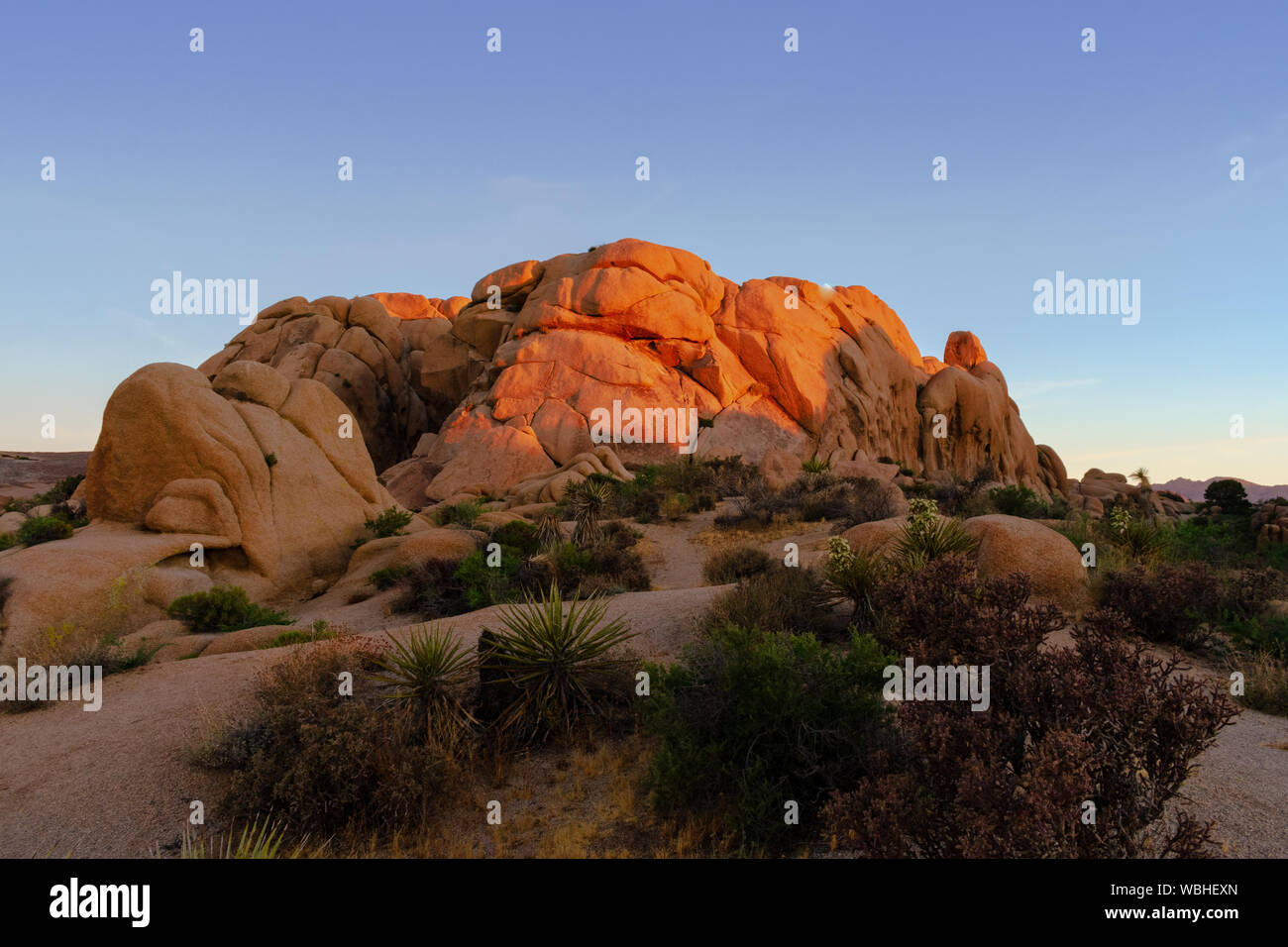 Joshua Tree National Park, California Stock Photo - Alamy