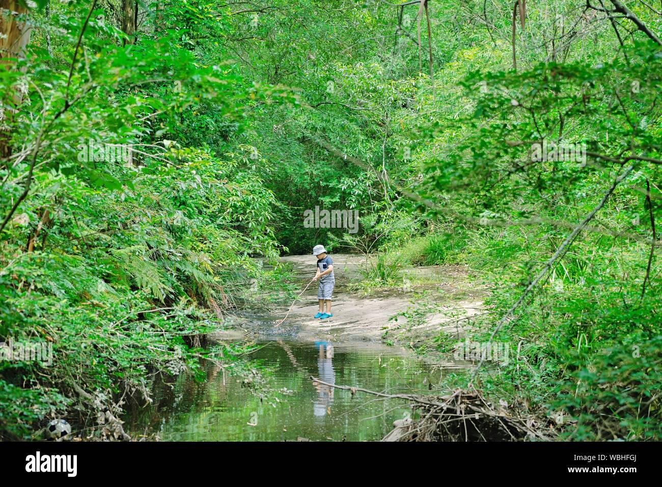 Environment fishing forest hi-res stock photography and images - Alamy