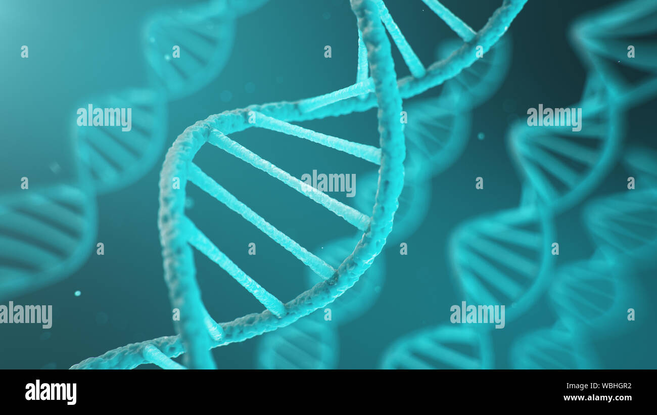 Double helical structure of DNA, DNA molecule, RNA. The concept of ...