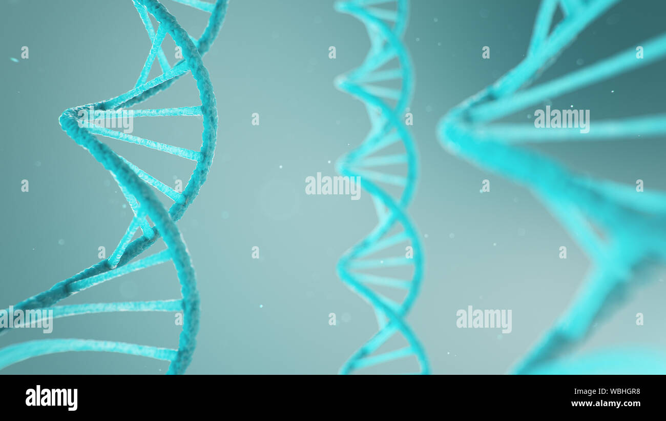 Double helical structure of DNA, DNA molecule, RNA. The concept of ...