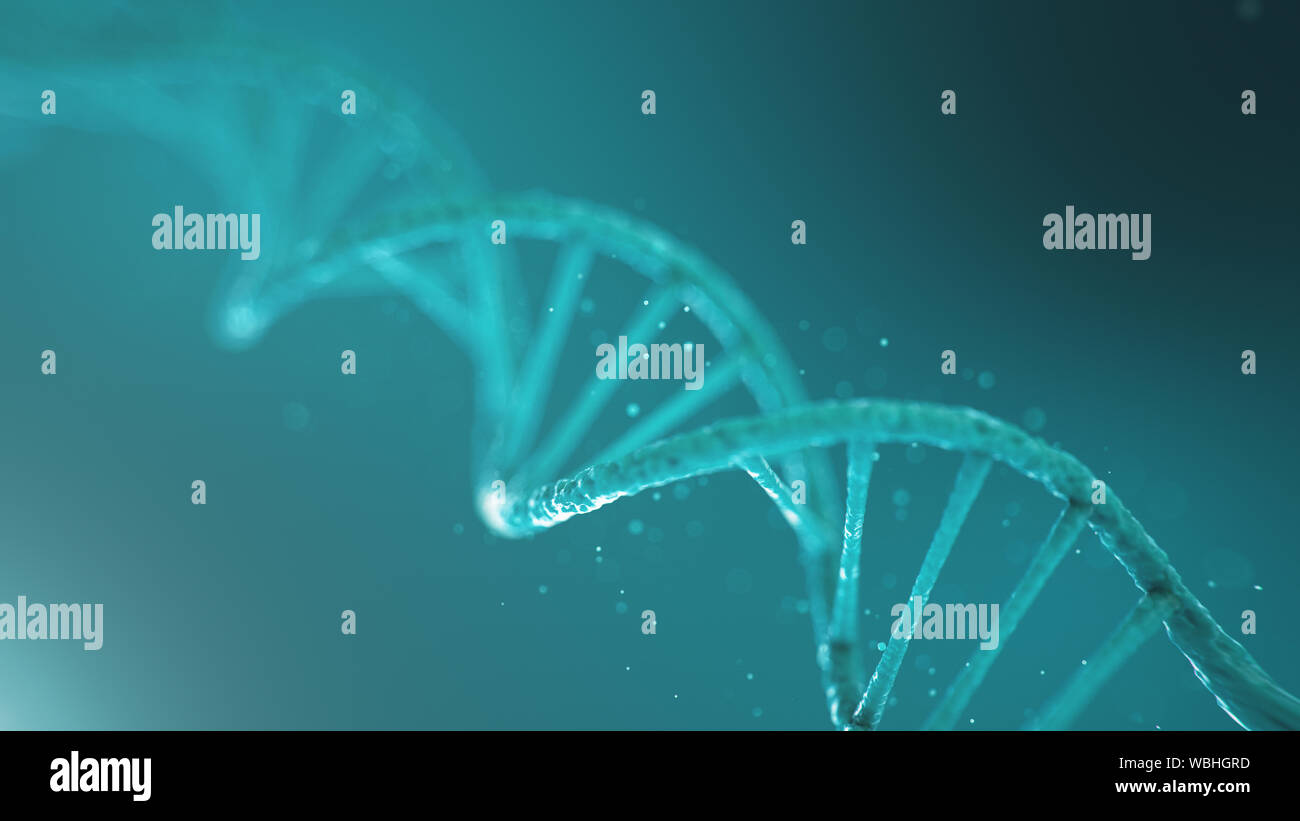 Double helical structure of DNA, DNA molecule, RNA. The concept of ...