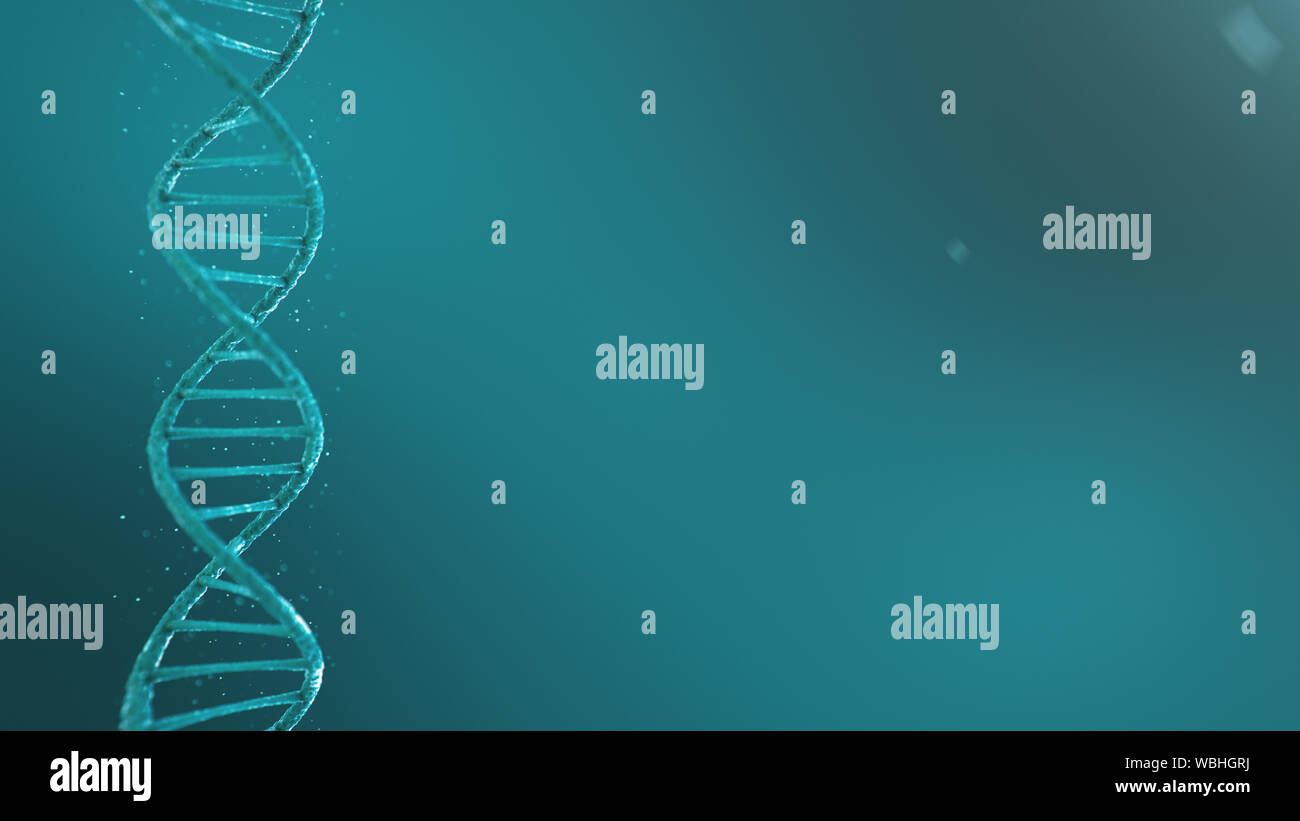 Double helical structure of DNA, DNA molecule, RNA. The concept of ...