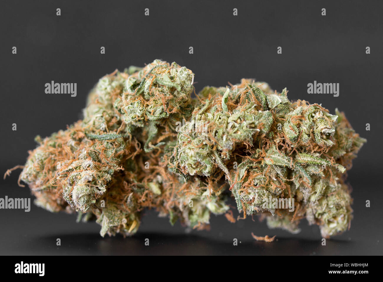 Cannabis plant still life hi-res stock photography and images - Alamy