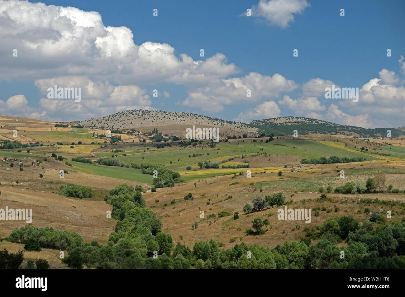 The different colors of the crops planted at different times provide ...