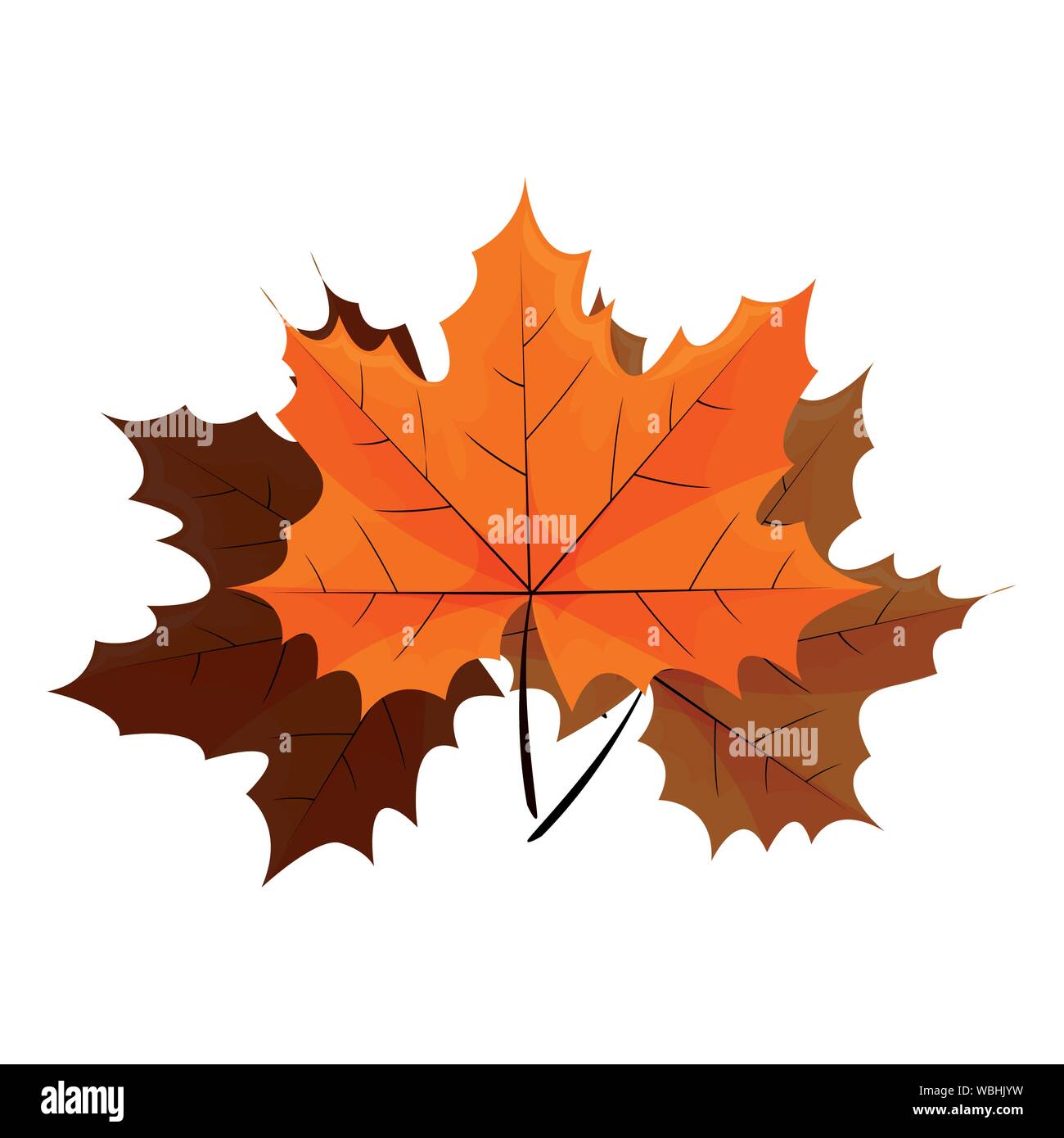 happy autumn season foliage leaves on white background vector ...