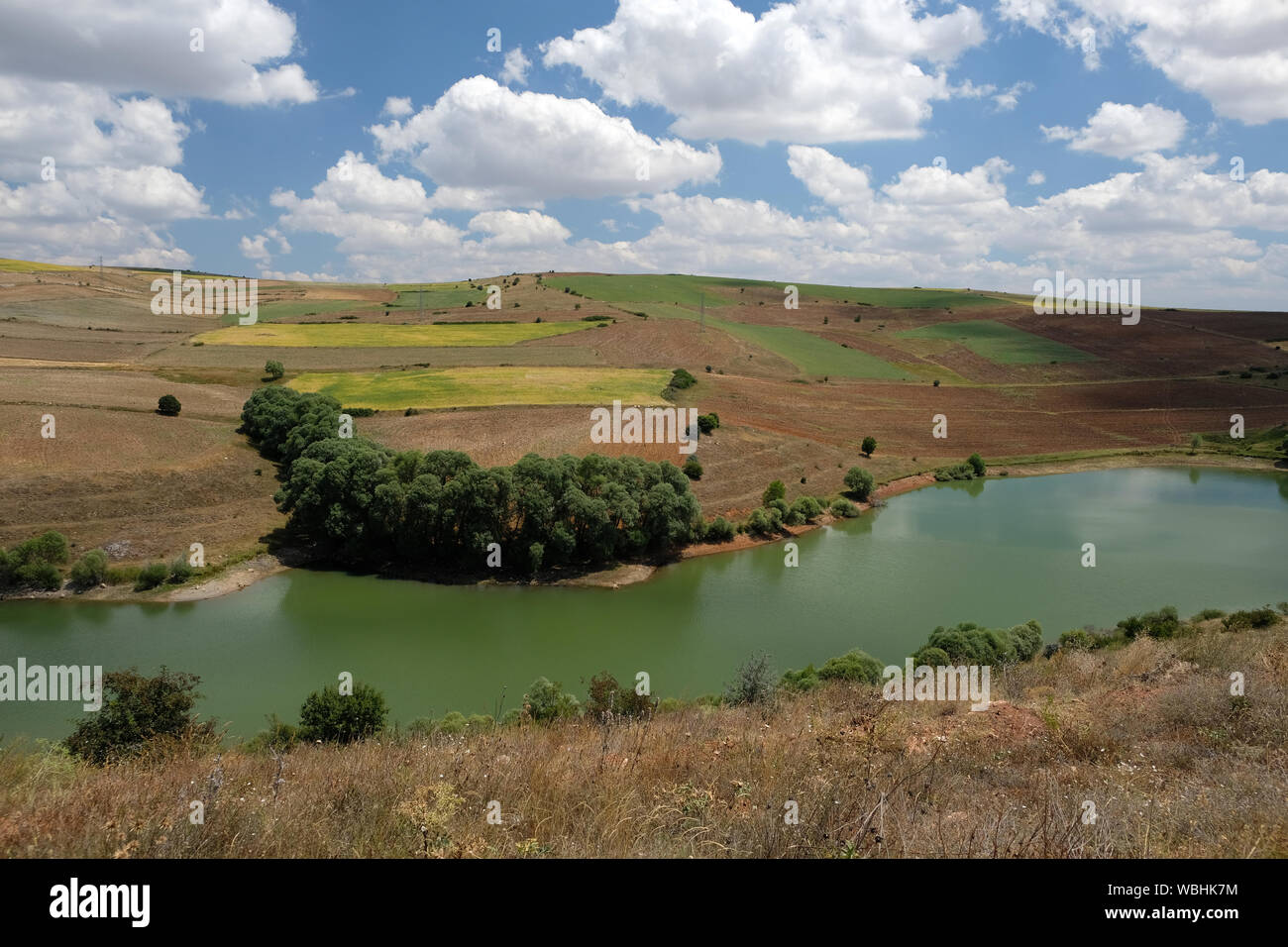 The different colors of the crops planted at different times provide ...