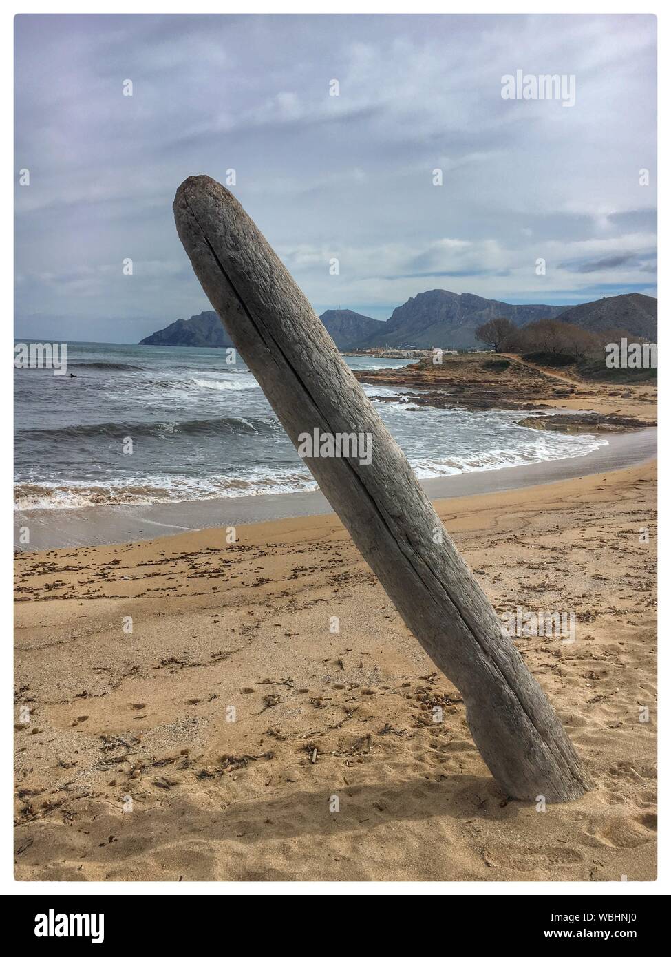 Close up beach Cut Out Stock Images & Pictures - Alamy