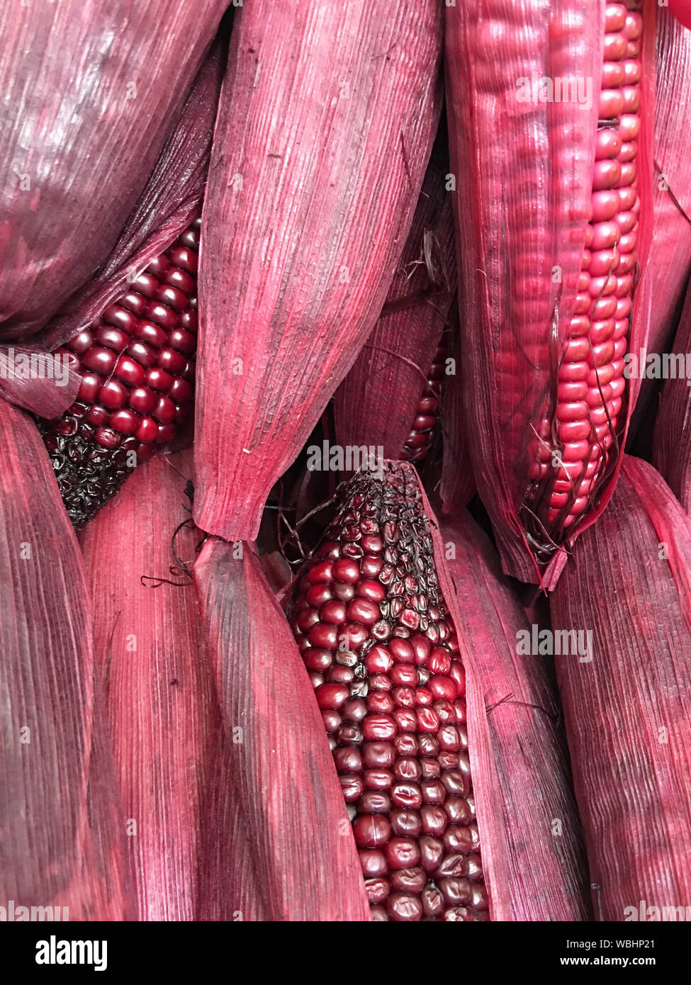 Corn on the cob stall hi-res stock photography and images - Alamy