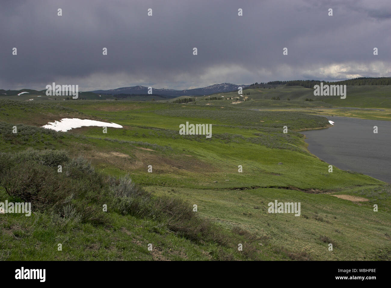 Yellowstone River Hayden Valley Yellowstone National Park Wyoming USA ...