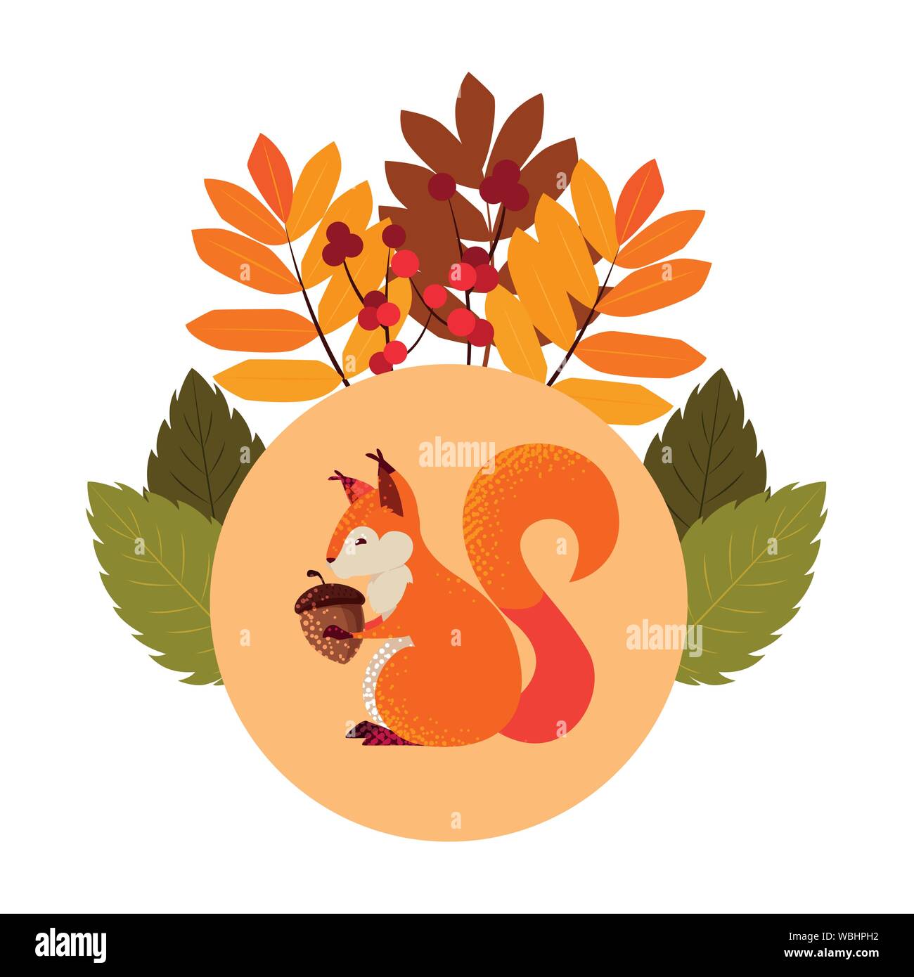 squirrel acorn badge foliage happy autumn season vector illustration ...