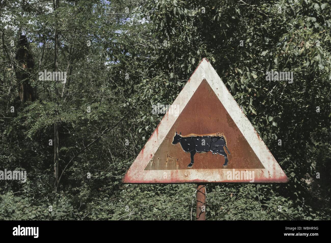 Old sign board hi-res stock photography and images - Alamy