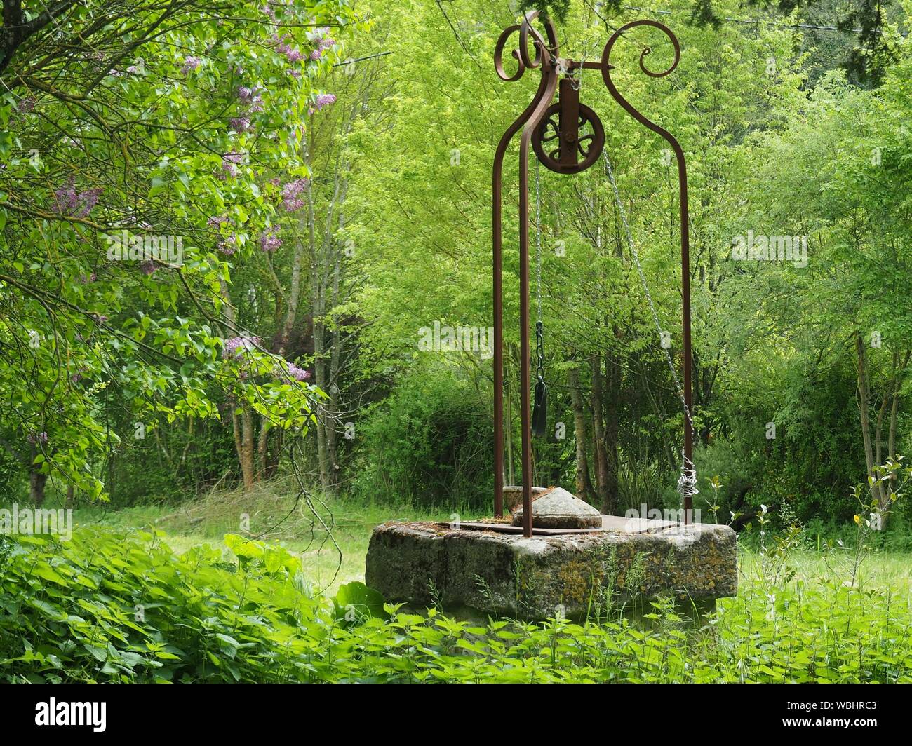 Tranquil well hi-res stock photography and images - Alamy