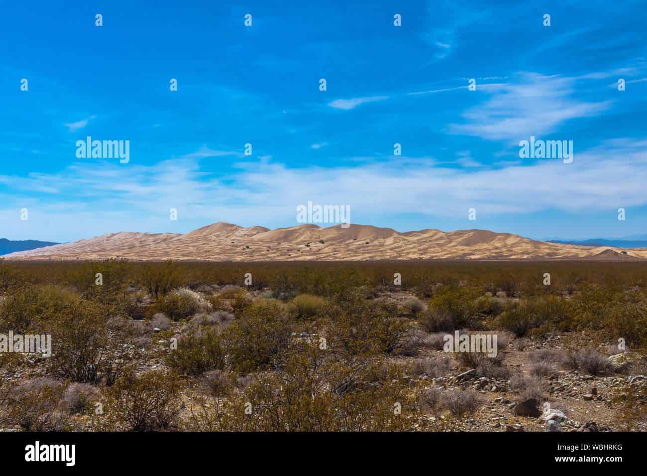 Sand Dunes In Mojave Desert National Preserve Stock Photo - Alamy