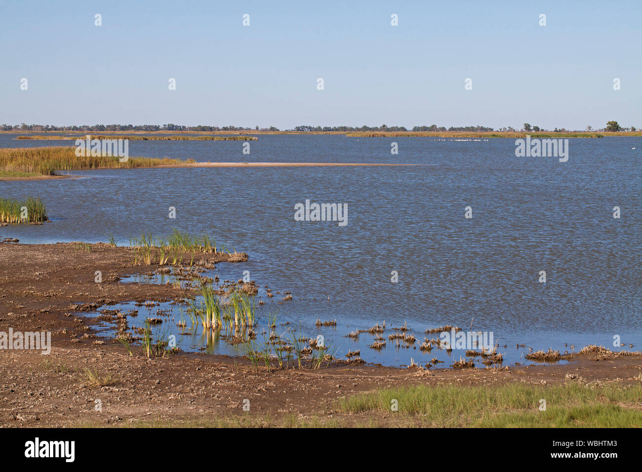 Quivira national wildlife refuge hi-res stock photography and images ...