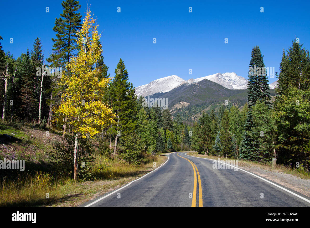 Road through Horseshoe Park with the mountans of Chiquita and Ypsilon ...