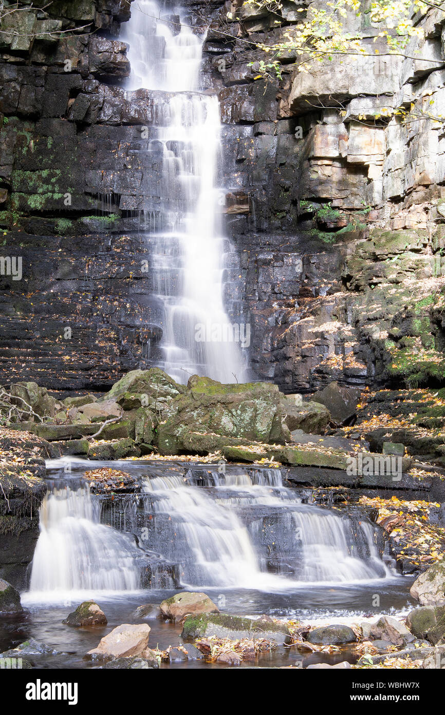Gill force hi-res stock photography and images - Alamy