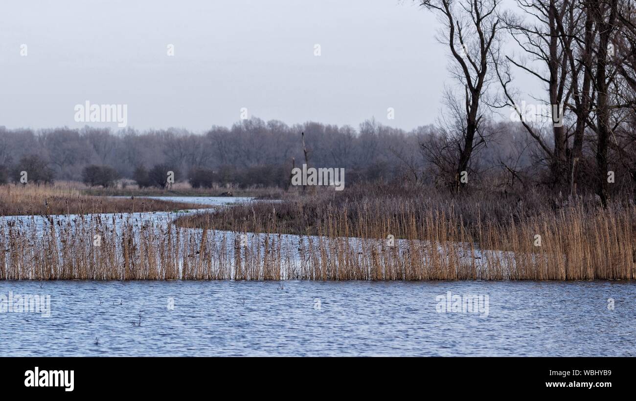 Waterfront river grass hi-res stock photography and images - Alamy