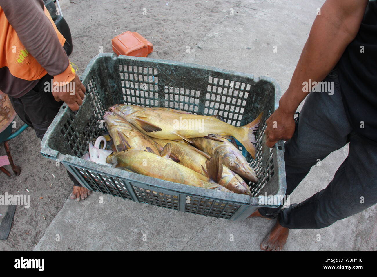 Fish crate hi-res stock photography and images - Alamy