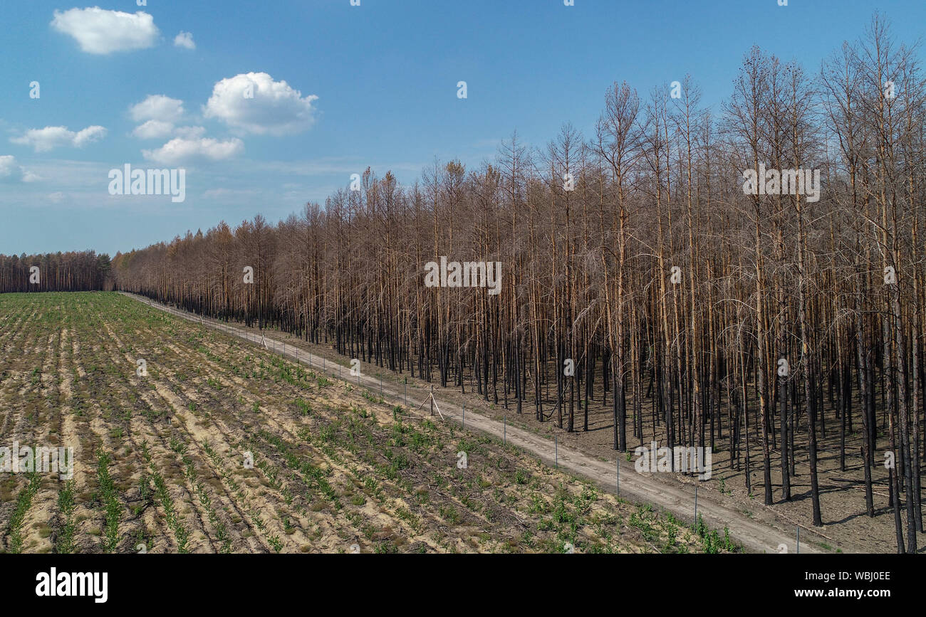 Reforestation drone hi-res stock photography and images - Alamy