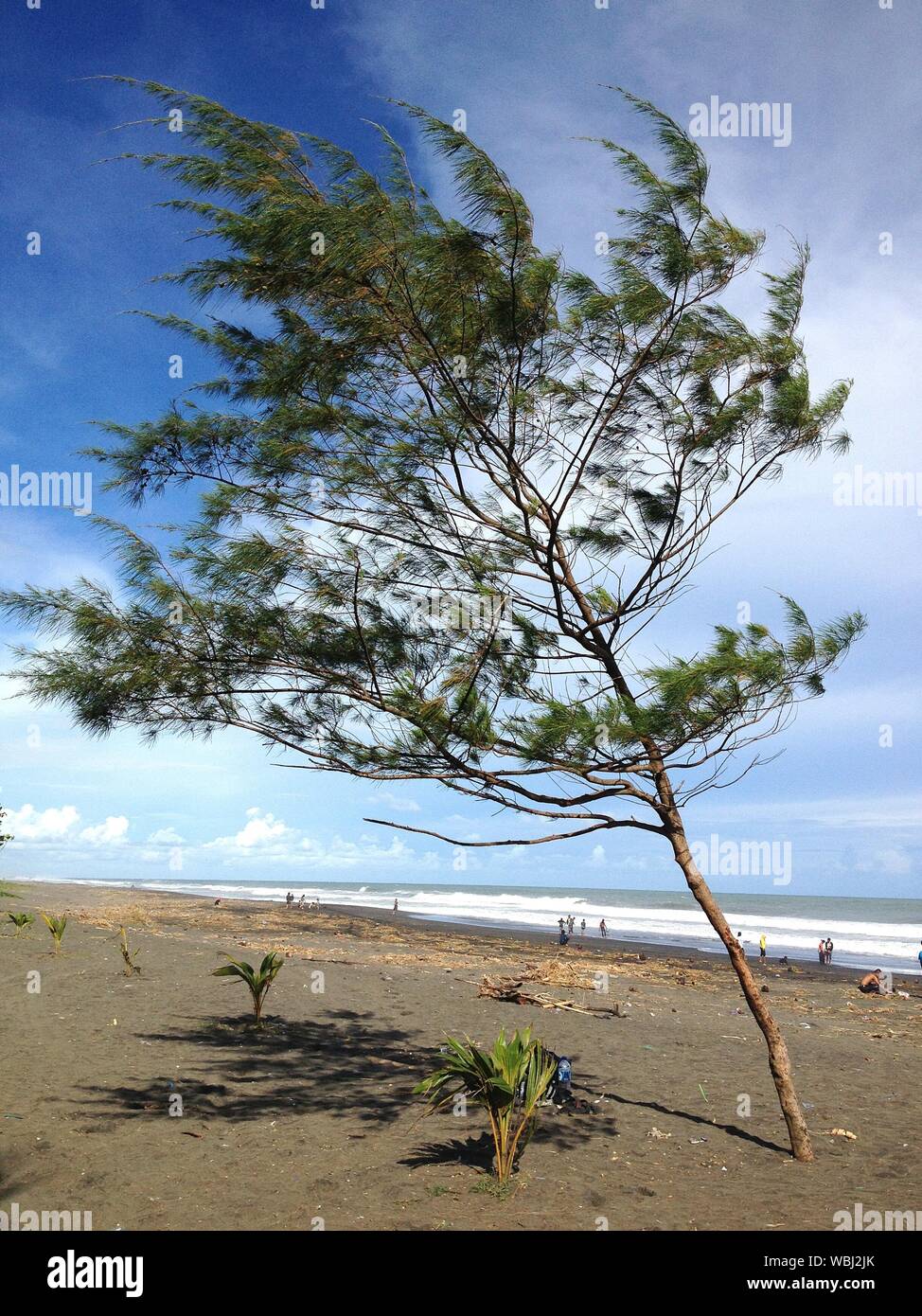 Windy day beach hi-res stock photography and images - Alamy