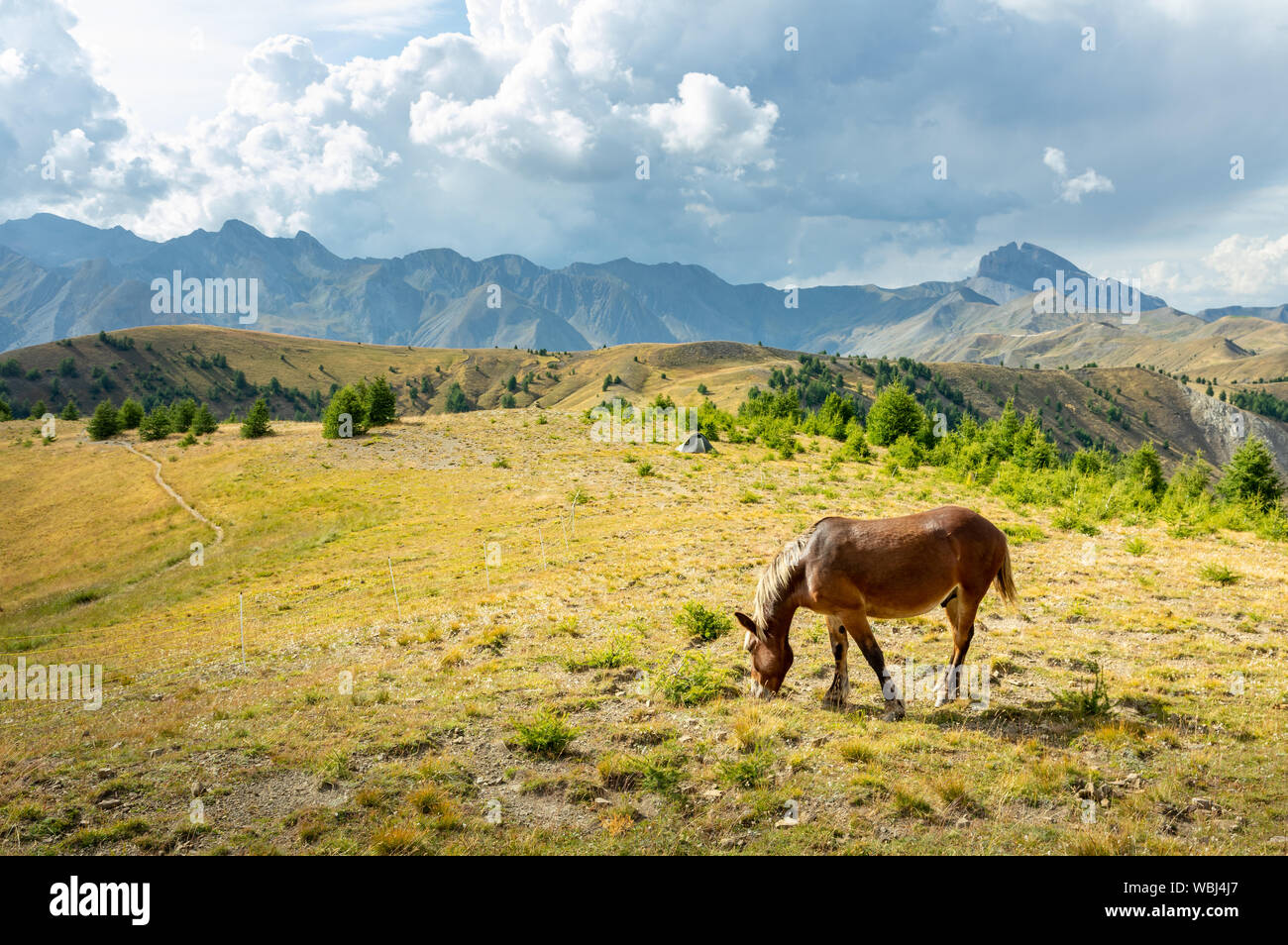 Col du allos hi-res stock photography and images - Alamy