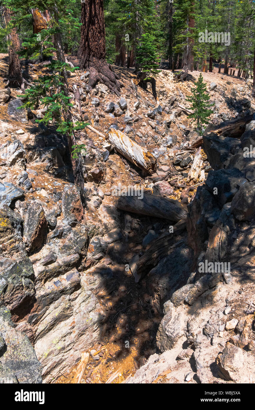 Earthquake fault trees hi-res stock photography and images - Alamy