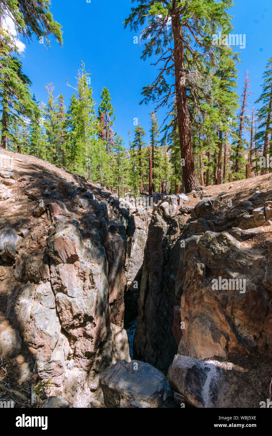 Earthquake fault trees hi-res stock photography and images - Alamy