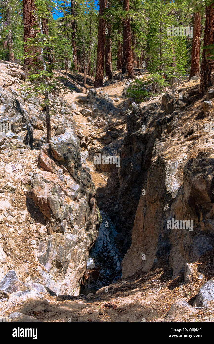 Earthquake fault trees hi-res stock photography and images - Alamy