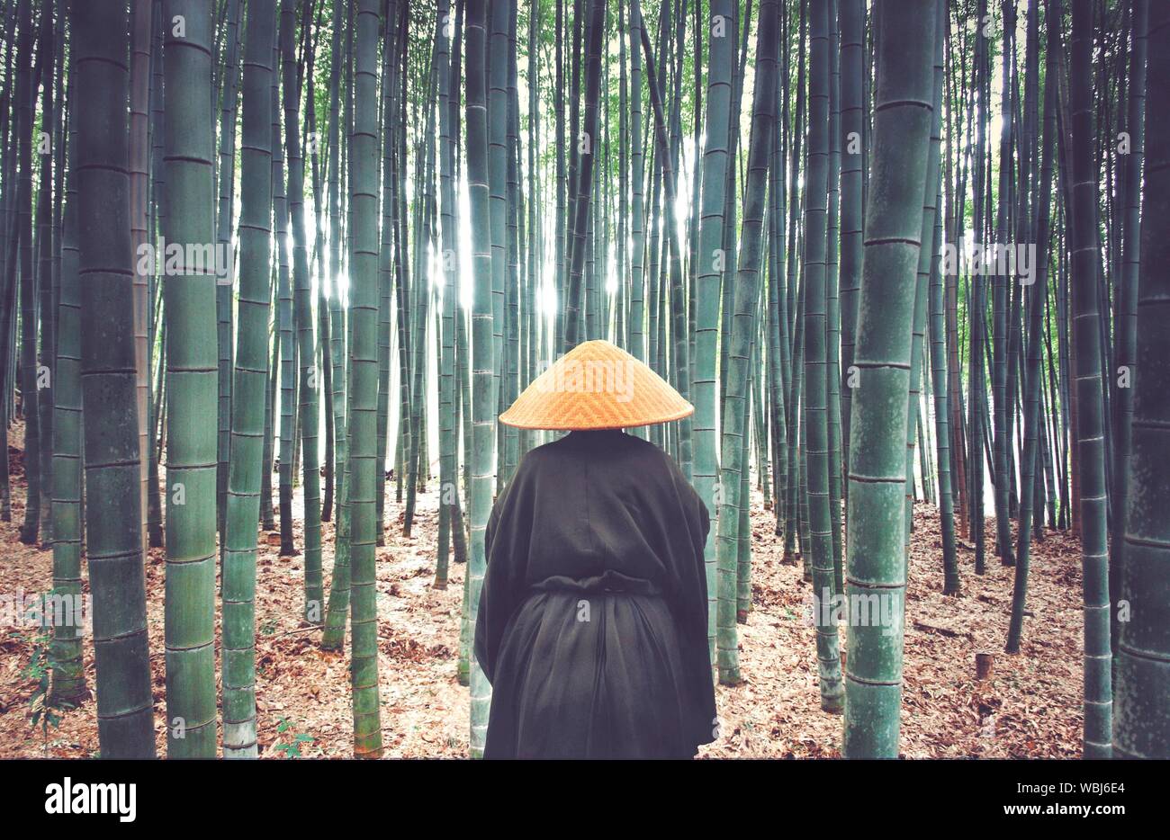 Bamboo conical hat hi-res stock photography and images - Alamy