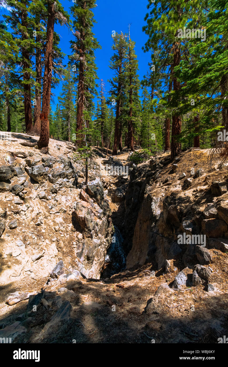 Earthquake fault trees hi-res stock photography and images - Alamy