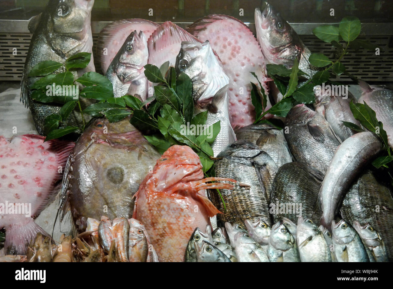 Fresh fish in the fresh market or supermarket Stock Photo - Alamy
